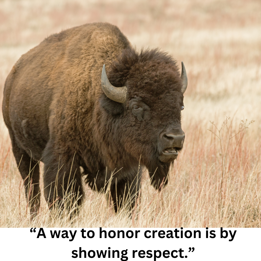 The 7 Grandfather Teachings and Healing | The Gatehouse