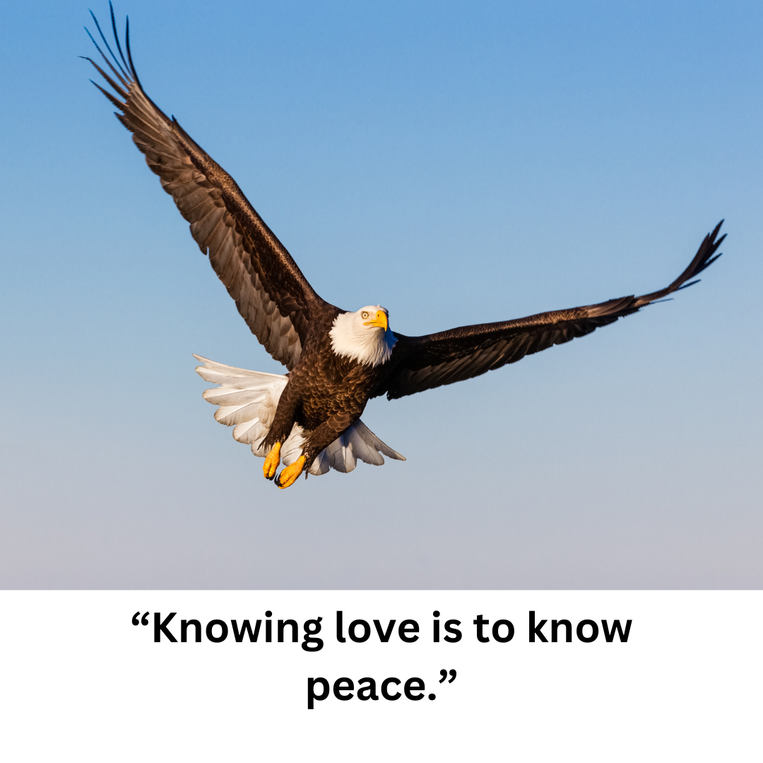 The 7 Grandfather Teachings and Healing | The Gatehouse