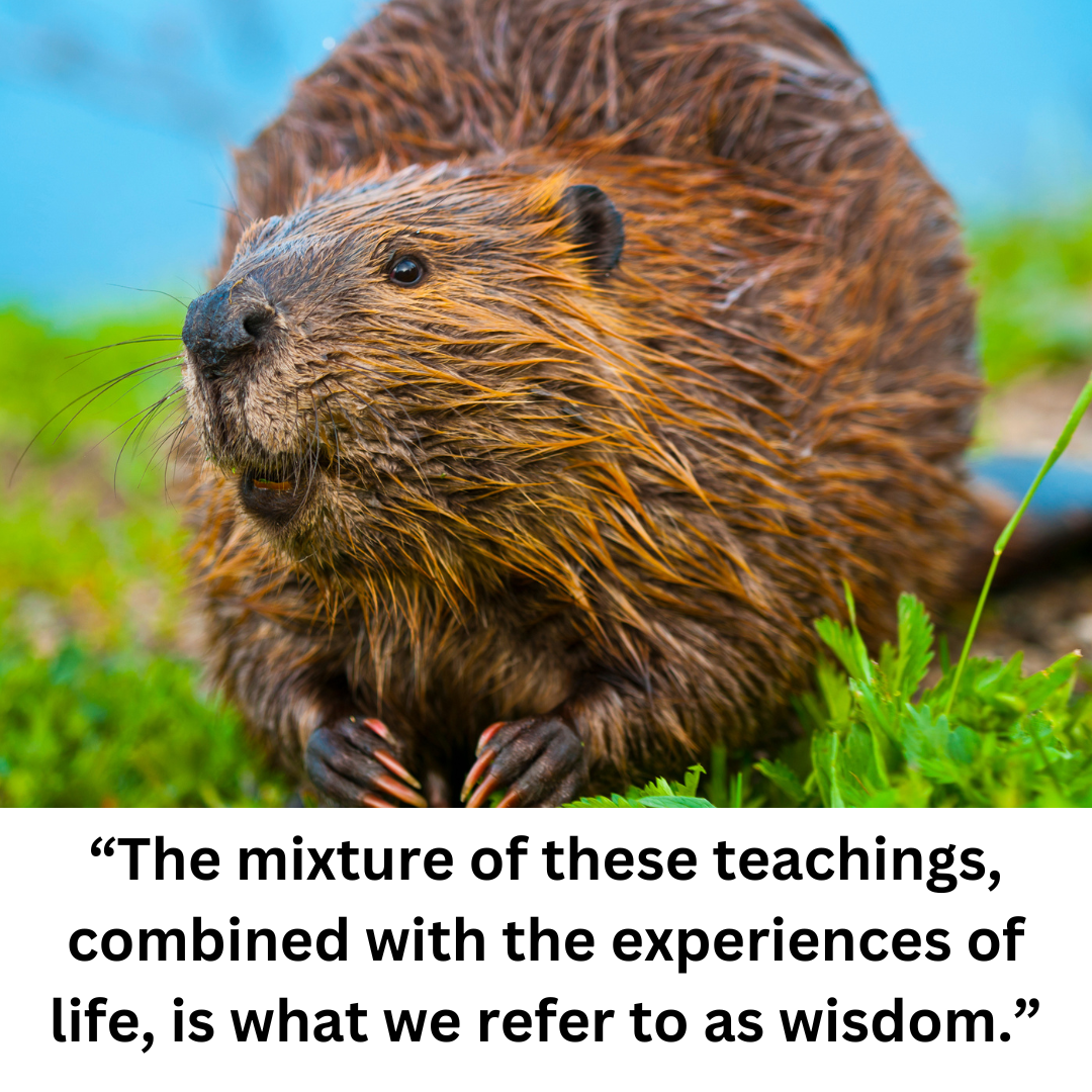 The 7 Grandfather Teachings and Healing | The Gatehouse