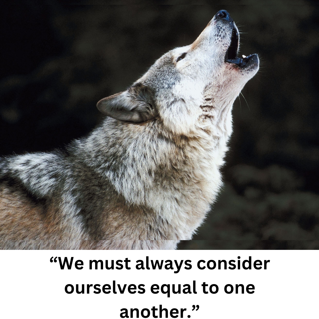 The 7 Grandfather Teachings and Healing | The Gatehouse